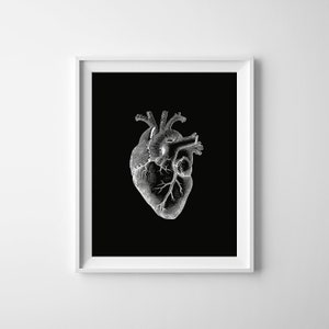 Heart Anatomy Print, Black and White, Medical Wall Art, Cardiologist ...