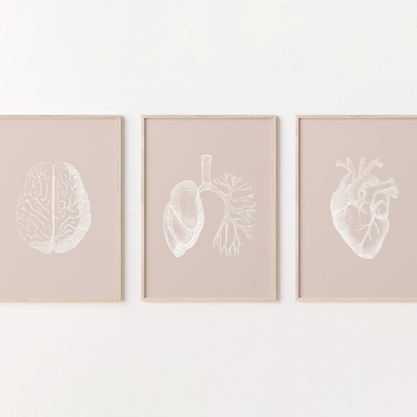 Cardiology Office Decor - Etsy