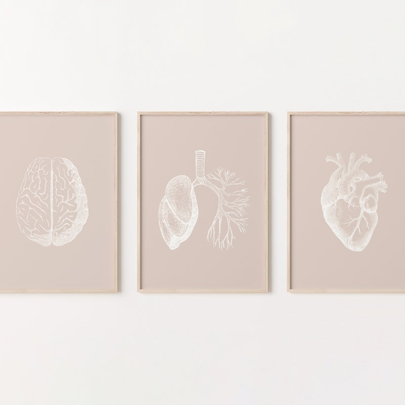 Medical Wall Decor - Etsy