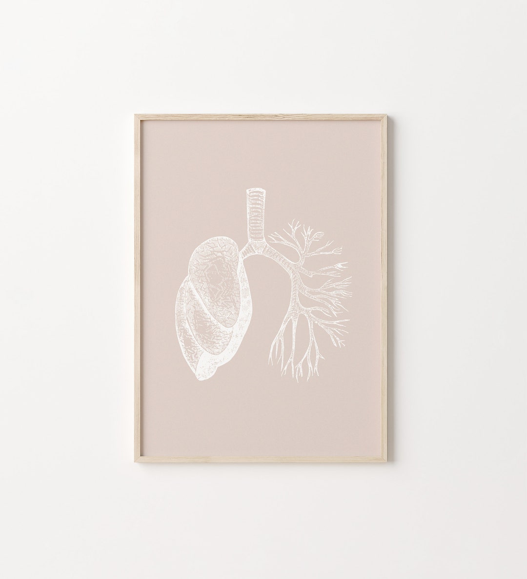 Lungs Anatomy, Digital Print, Vintage Anatomical Art, Human Anatomy ...