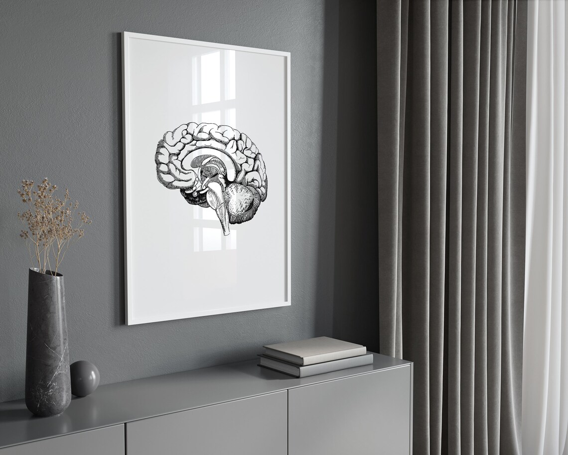 Brain Anatomy Print Human Anatomy Art Anatomical Poster - Etsy
