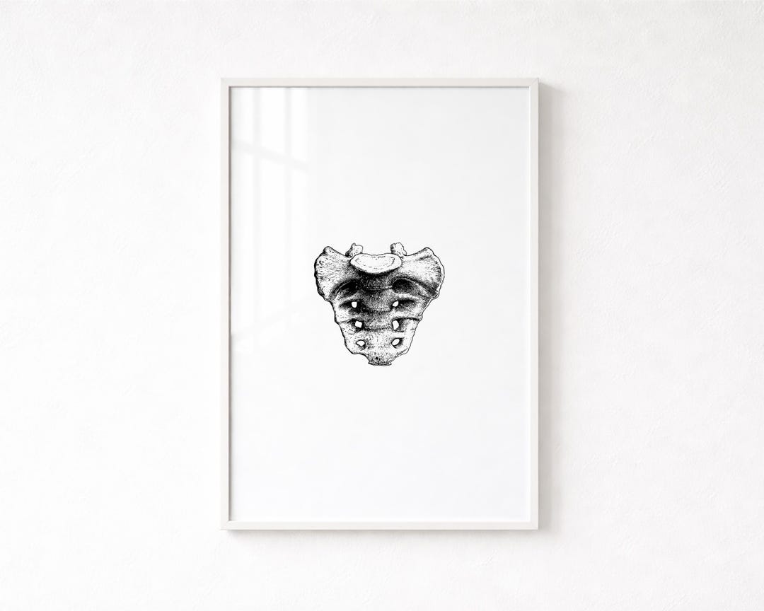 Sacrum Bone Vintage Illustration, Medical Wall Art, Digital Print - Etsy