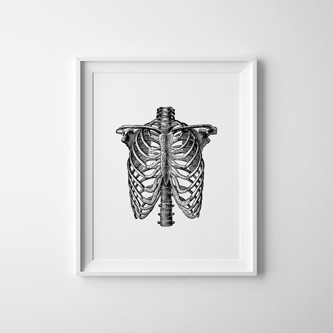 Human Anatomy Print, Rib Cage Wall Art, Skeleton Bones Printable Art ...