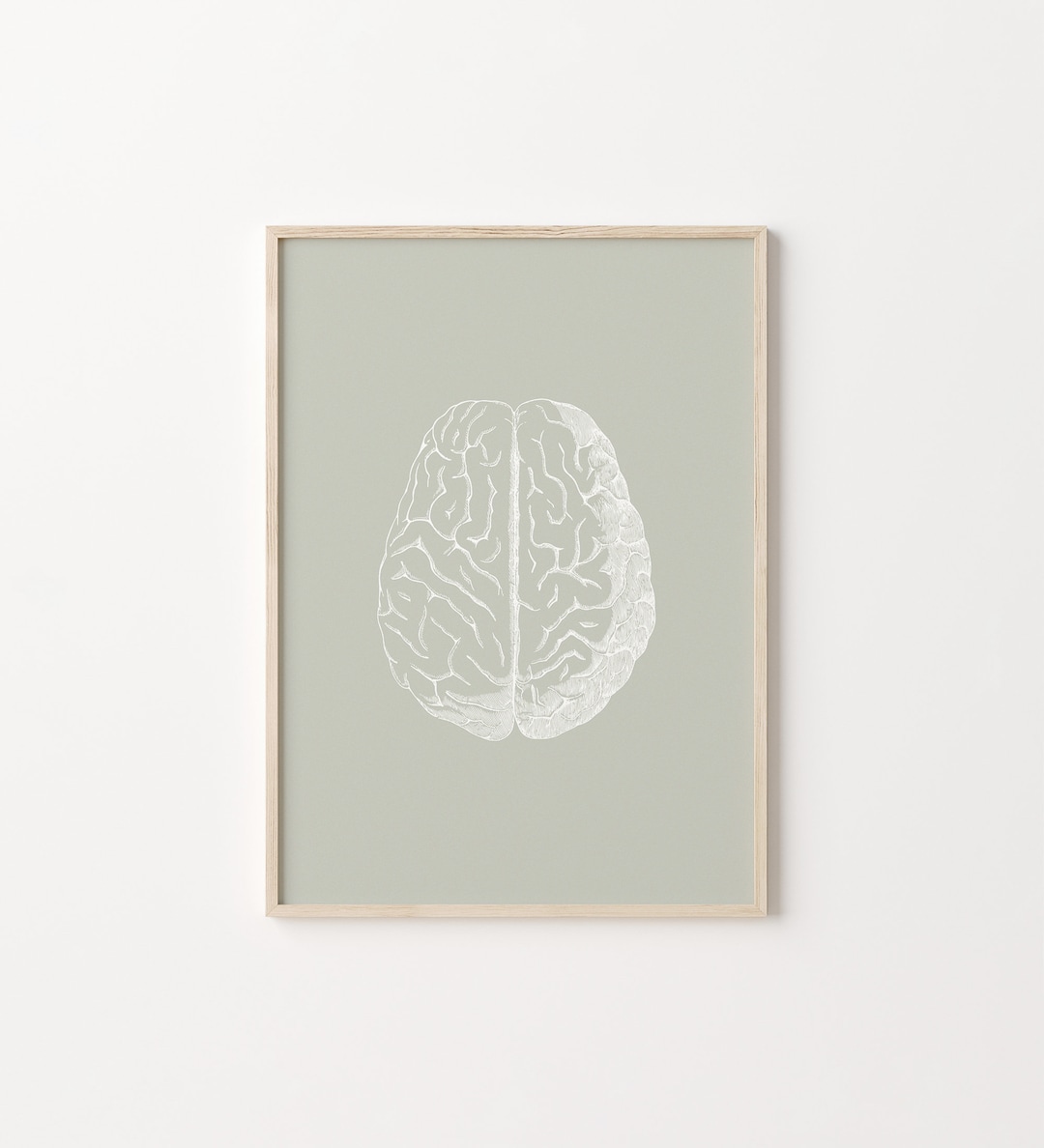 Brain Anatomy Art, Printable Poster, Human Anatomy Print, Green Wall ...