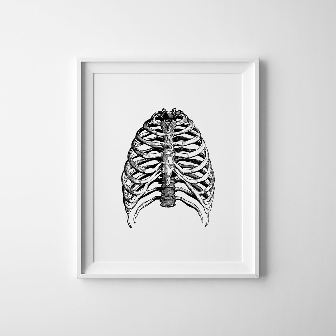 Rib Cage Wall Art, Anatomical Illustration Art, Human Anatomy Print ...