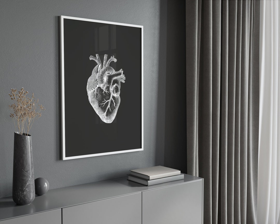 Heart Anatomy Print, Black and White, Medical Wall Art, Cardiologist ...