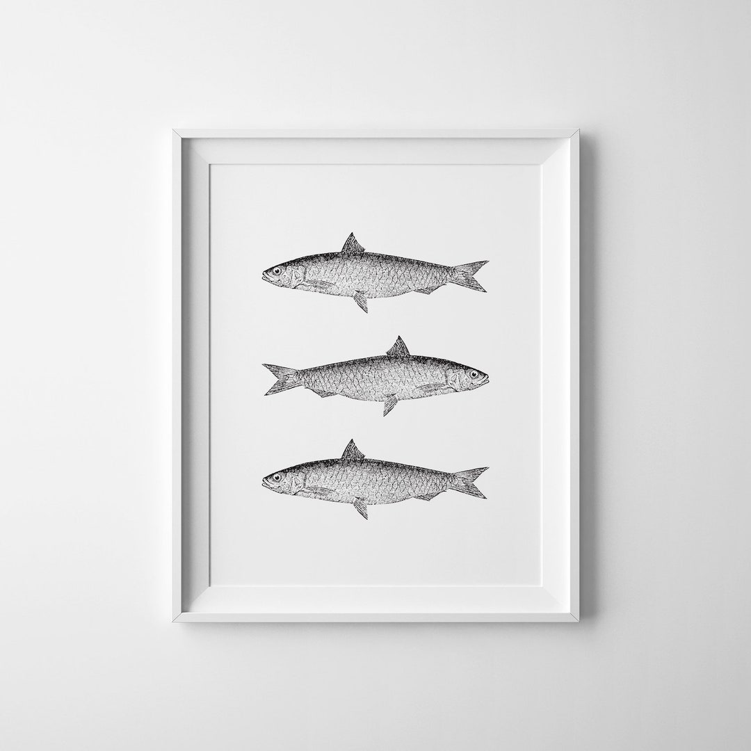 Vintage Fish Print, Printable Fish Art, Fish Wall Art, Fishing Sign ...