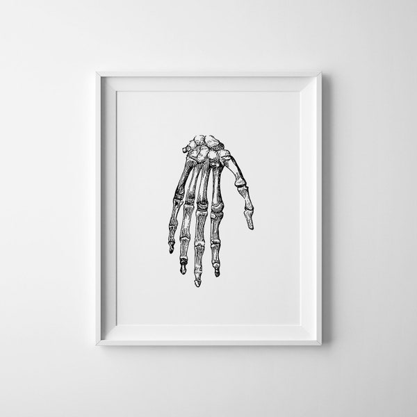 Orthopedic Poster - Etsy UK