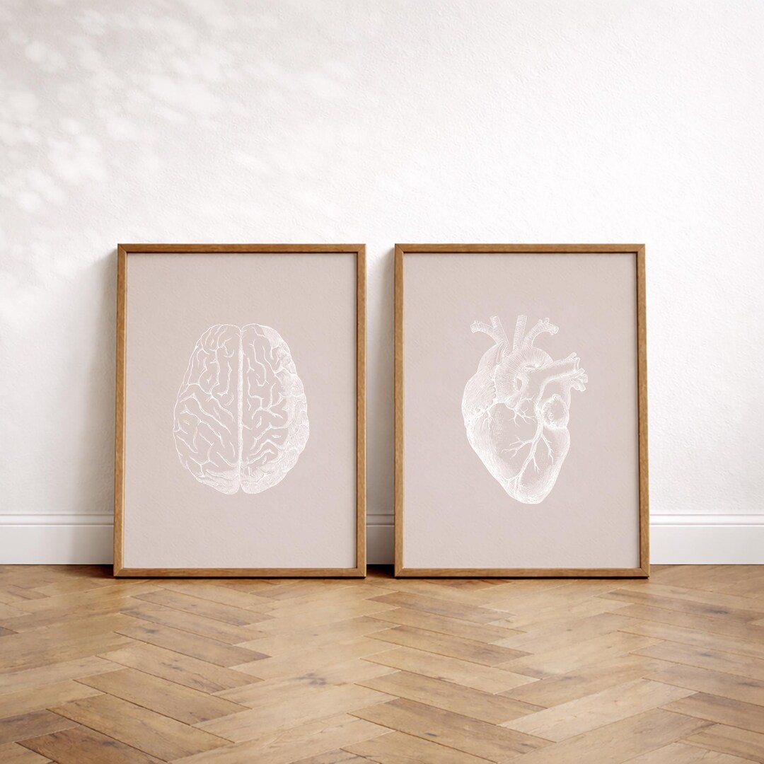 Set of 2 Anatomical Prints, Brain and Heart Posters, Scientific Gallery ...