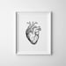 Set of 3 Prints, Brain, Lungs, Heart, Anatomical Wall Art, Human ...
