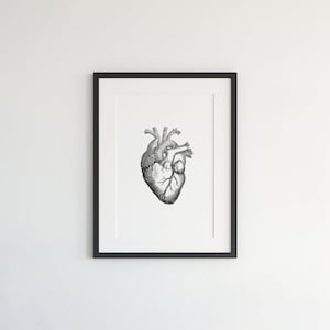 Anatomical Heart Print, Vintage Medical Art, Heart Wall Art, Anatomy ...