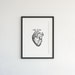 Anatomical Heart Print Vintage Medical Art Heart Wall Art - Etsy
