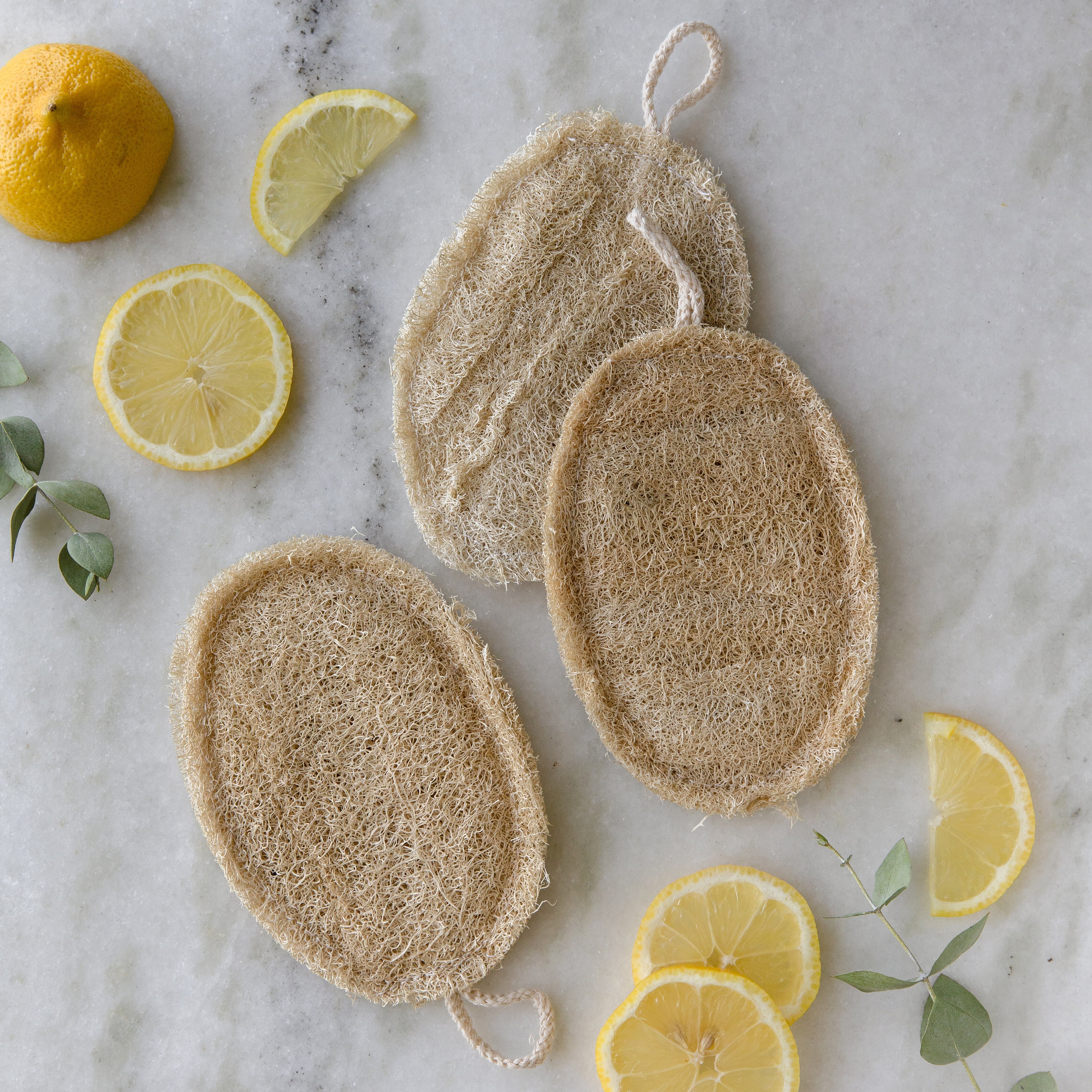 Double Layer Oval Loofah Sponge | 100% Natural Exfoliating Bath Loofah ...