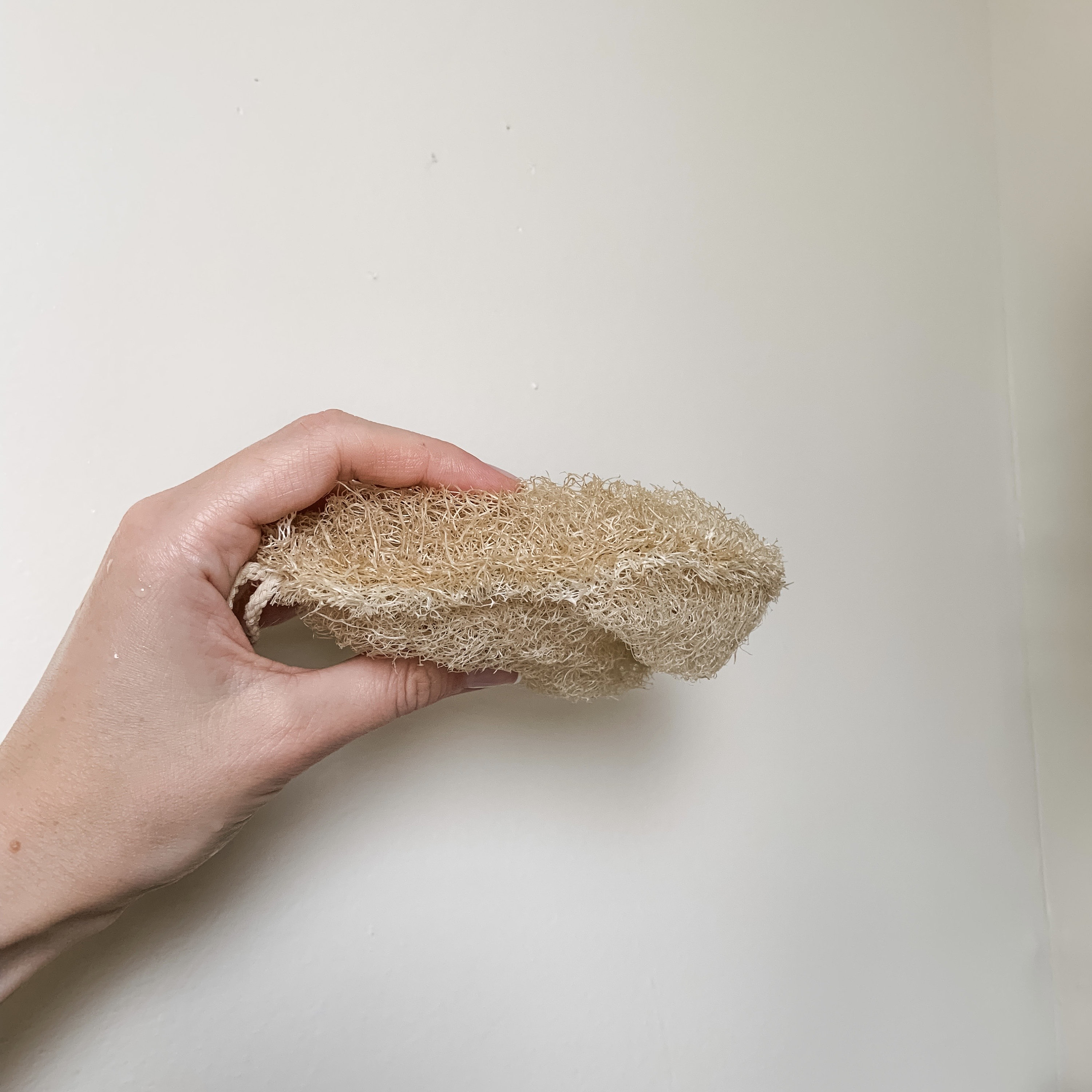 Double Layer Oval Loofah Sponge | 100% Natural Exfoliating Bath Loofah ...