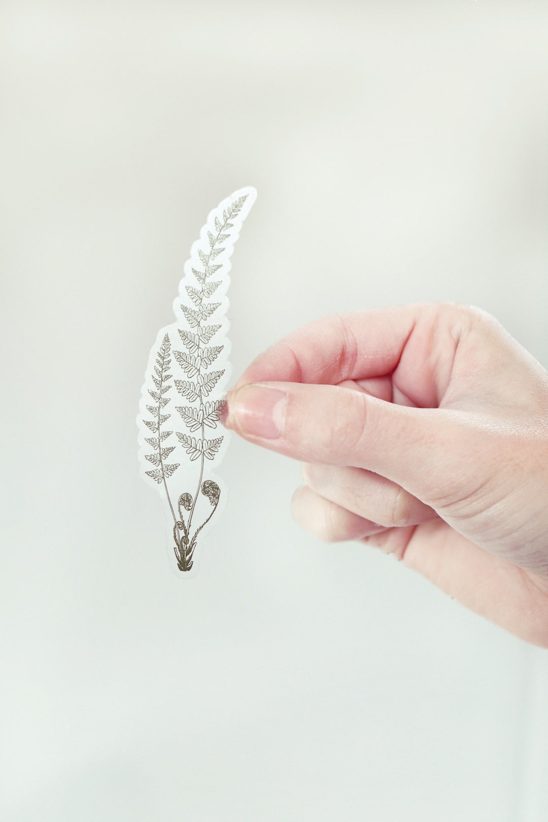 Fern Frond Sticker Plant Lover Gift Fern Sticker Laptop Decal ...