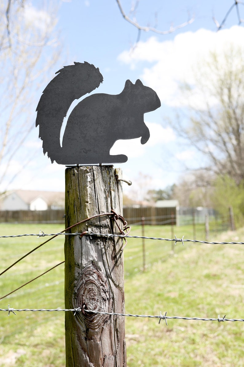 Metal Squirrel Statue | Garden Squirrel Cute Outdoor Statue Farmhouse ...