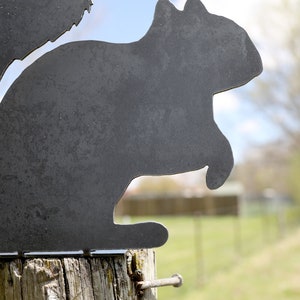 Metal Squirrel Statue | Garden Squirrel Cute Outdoor Statue Farmhouse ...