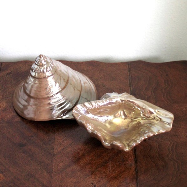 Ceramic Shells - Etsy