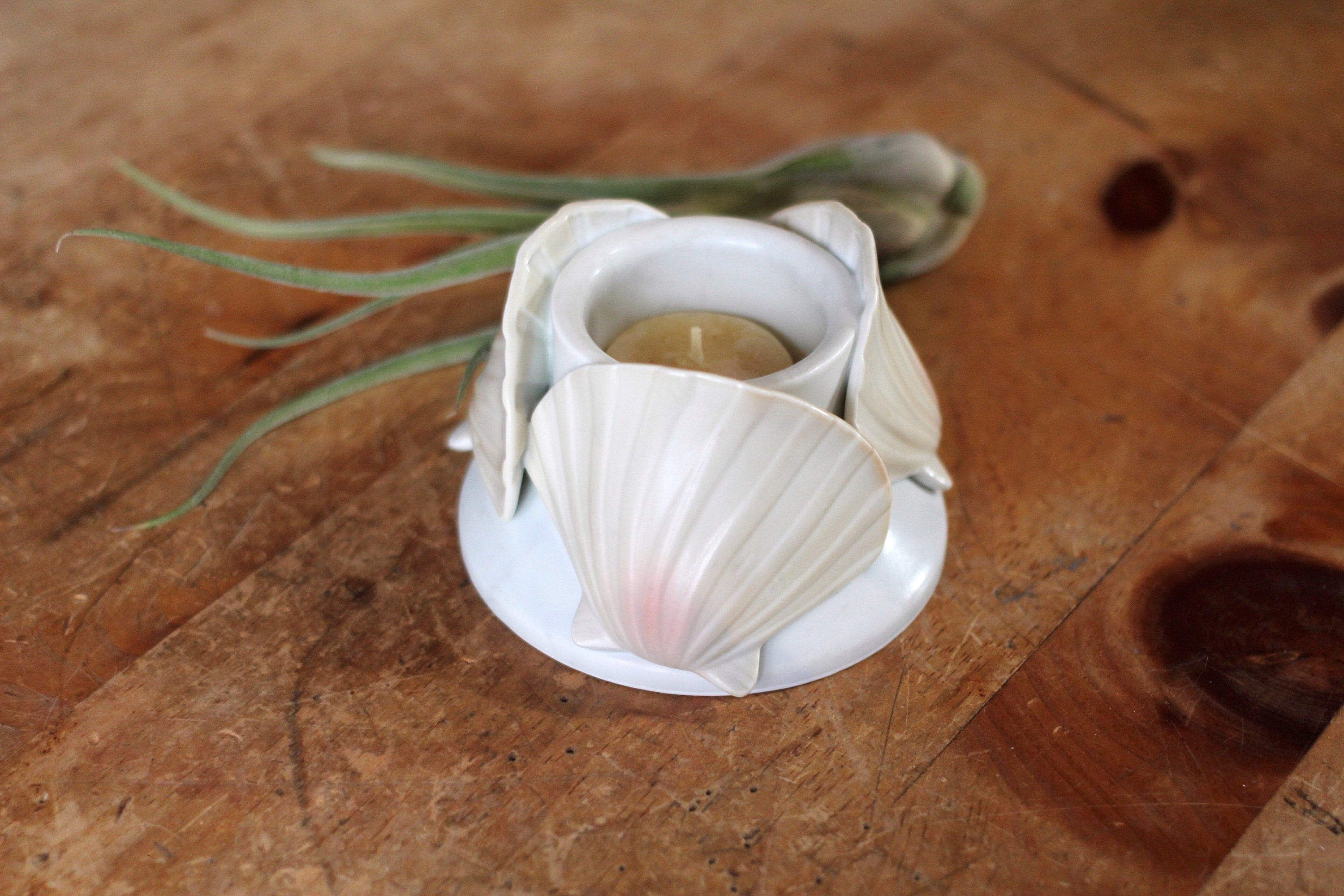 Ceramic shell candle shell dish white ceramic ceramic | Etsy