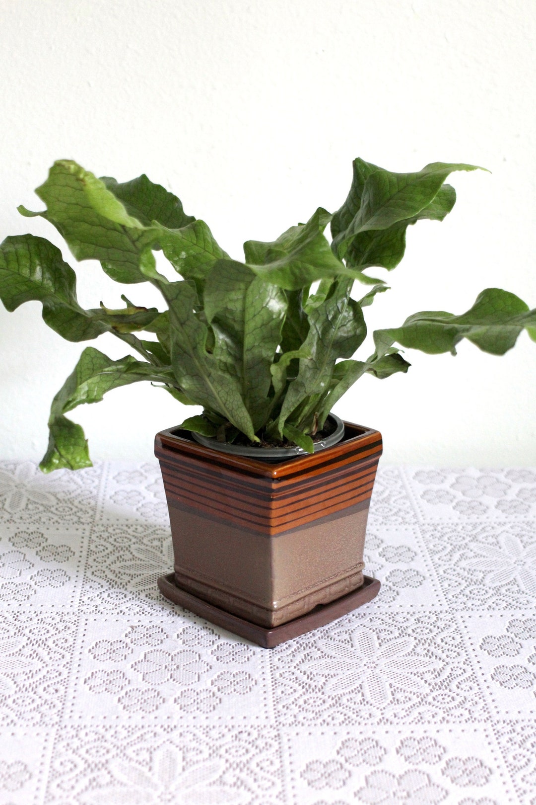 Pottery Planter - Striped Planter - Pottery Houseplant - Pottery Pot ...