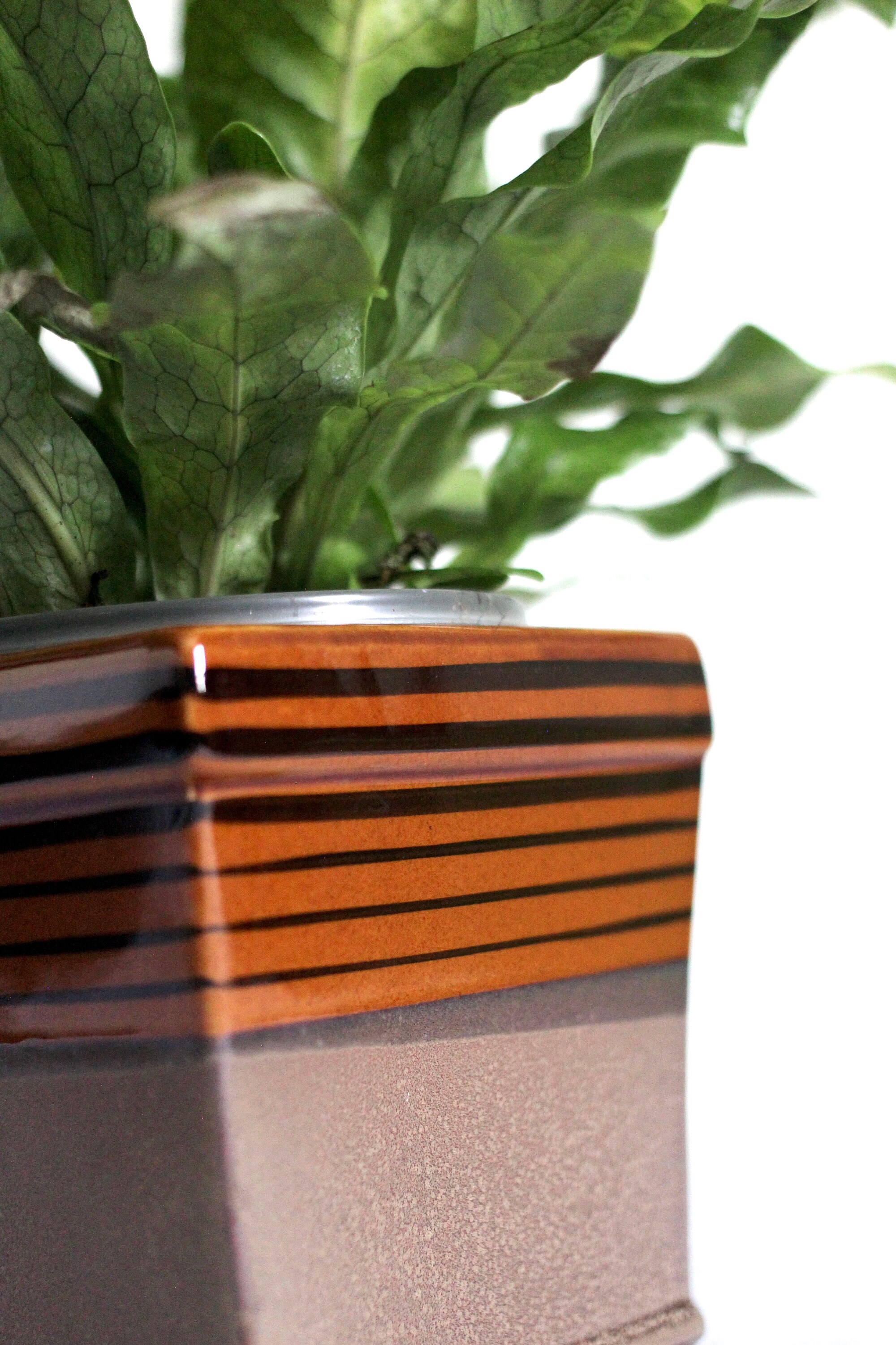 Pottery Planter Striped Planter Pottery Houseplant | Etsy