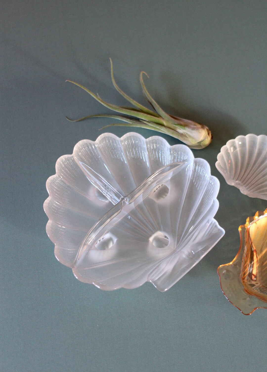 Frosted Shell Dish - Glass Shell - Shell Divided Dish - Shell Bowl ...
