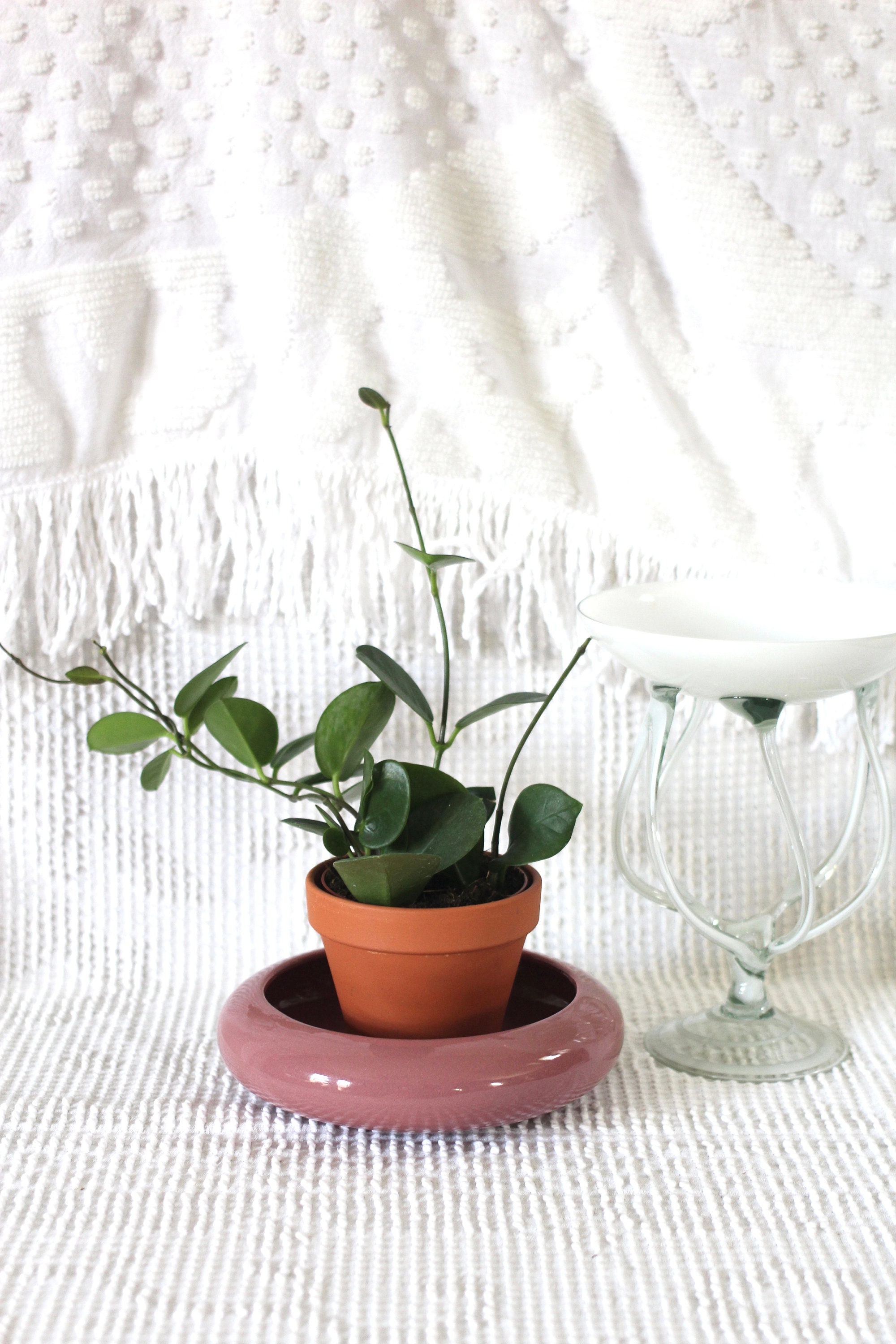 Shallow Pink Planter Pink Pot Pink Urn Low Planter Low - Etsy