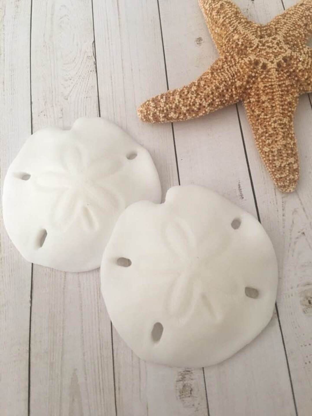 Sand Dollar Soap,sand Dollar Guest Soap,coastal Soap,beach Lovers ...