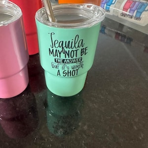 Mini Stanley Tumbler,shot Glass Tumbler,3 Oz Funny Stainless Steel Mini ...