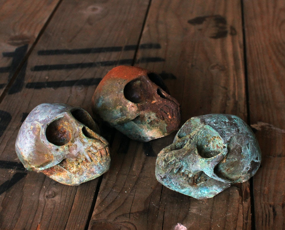 Aged Monkey Skull Cast Artifact Oddity Curiosity - Etsy