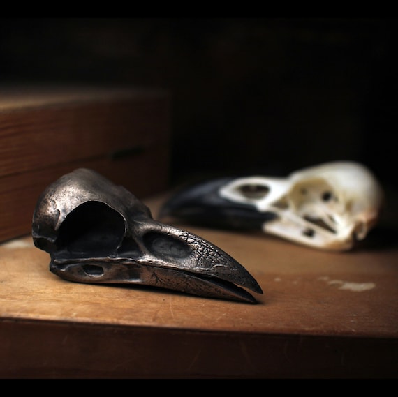Raven Skull Cast in Metal/resin Taxidermy Oddity Natural - Etsy