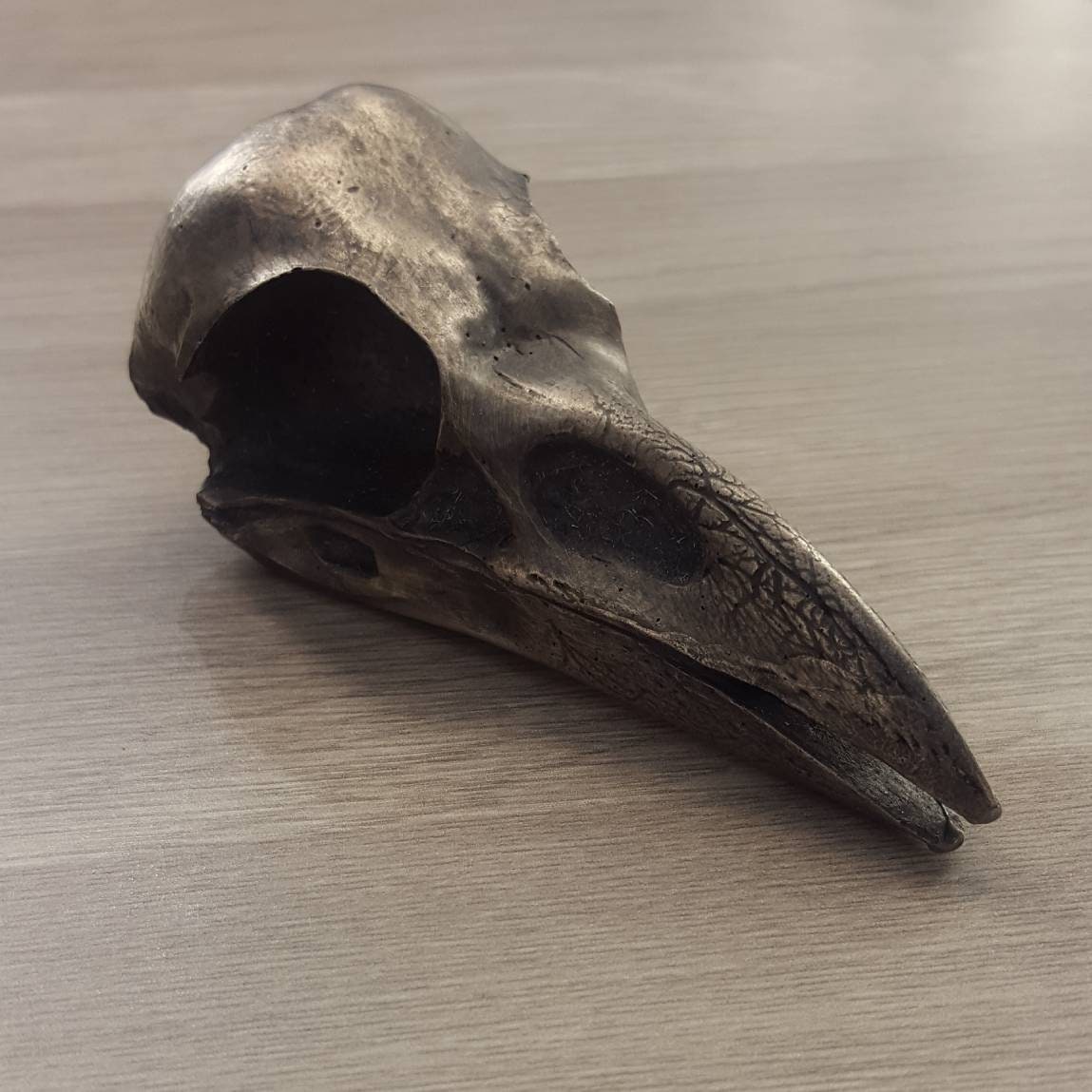 Raven Skull Cast in Metal/resin - Taxidermy - Oddity - Natural ...