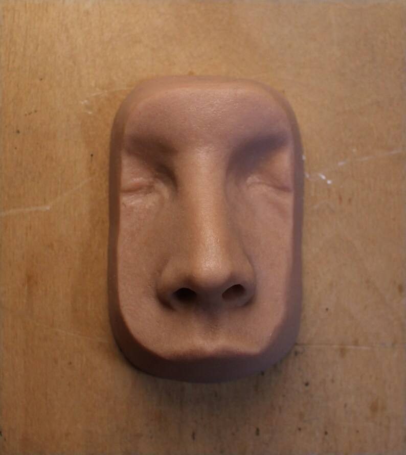 Silicone Prosthetic Nose Section Model Piercing Training - Etsy