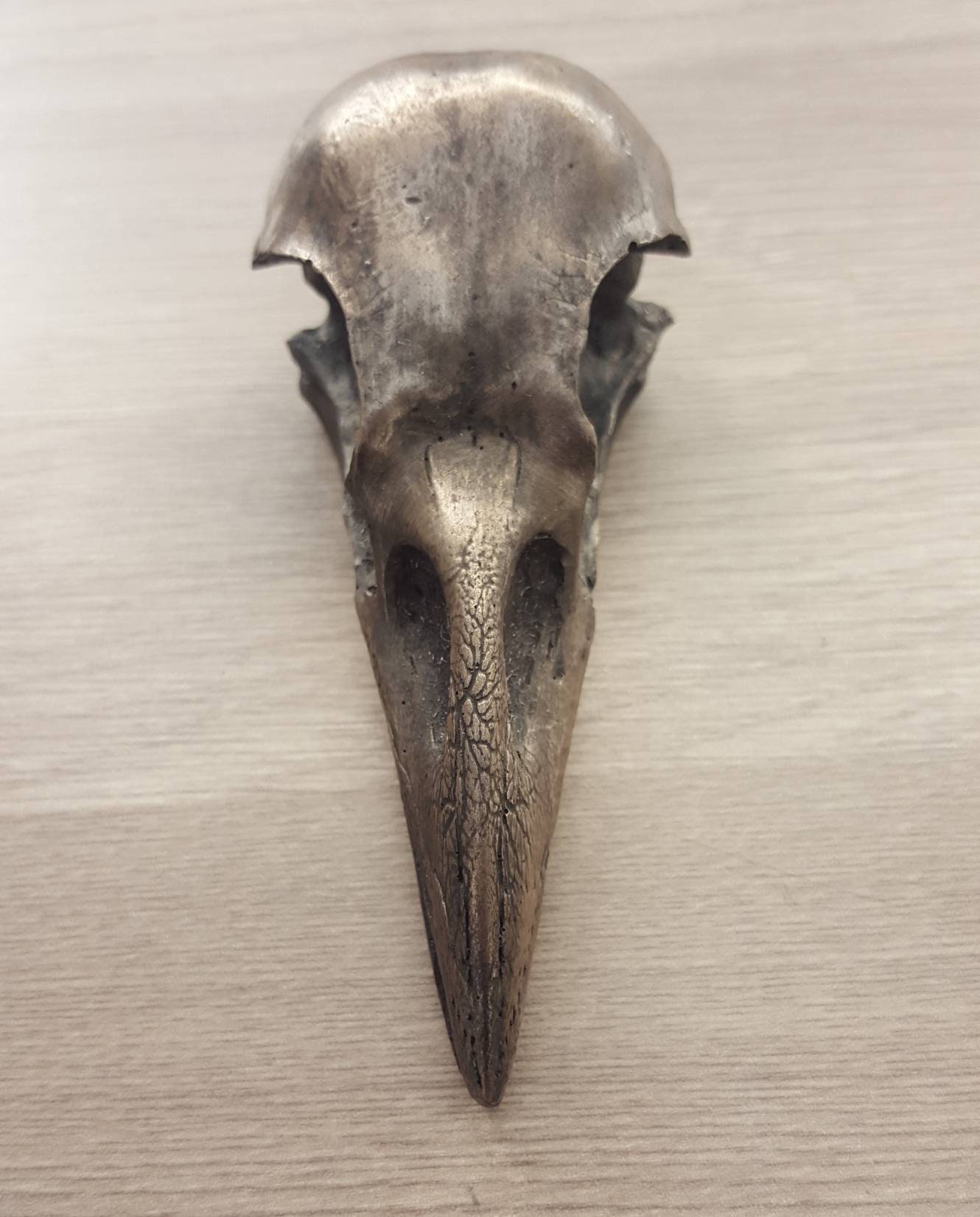 Raven Skull Cast in Metal/resin - Taxidermy - Oddity - Natural ...