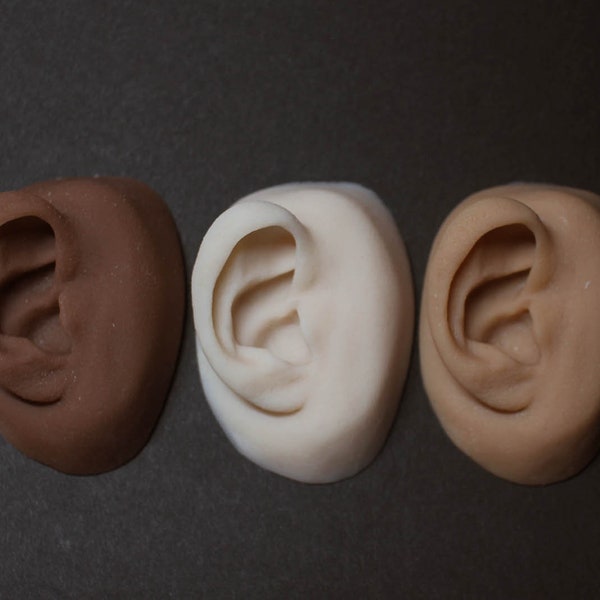 Life Size Human Body Model - Etsy