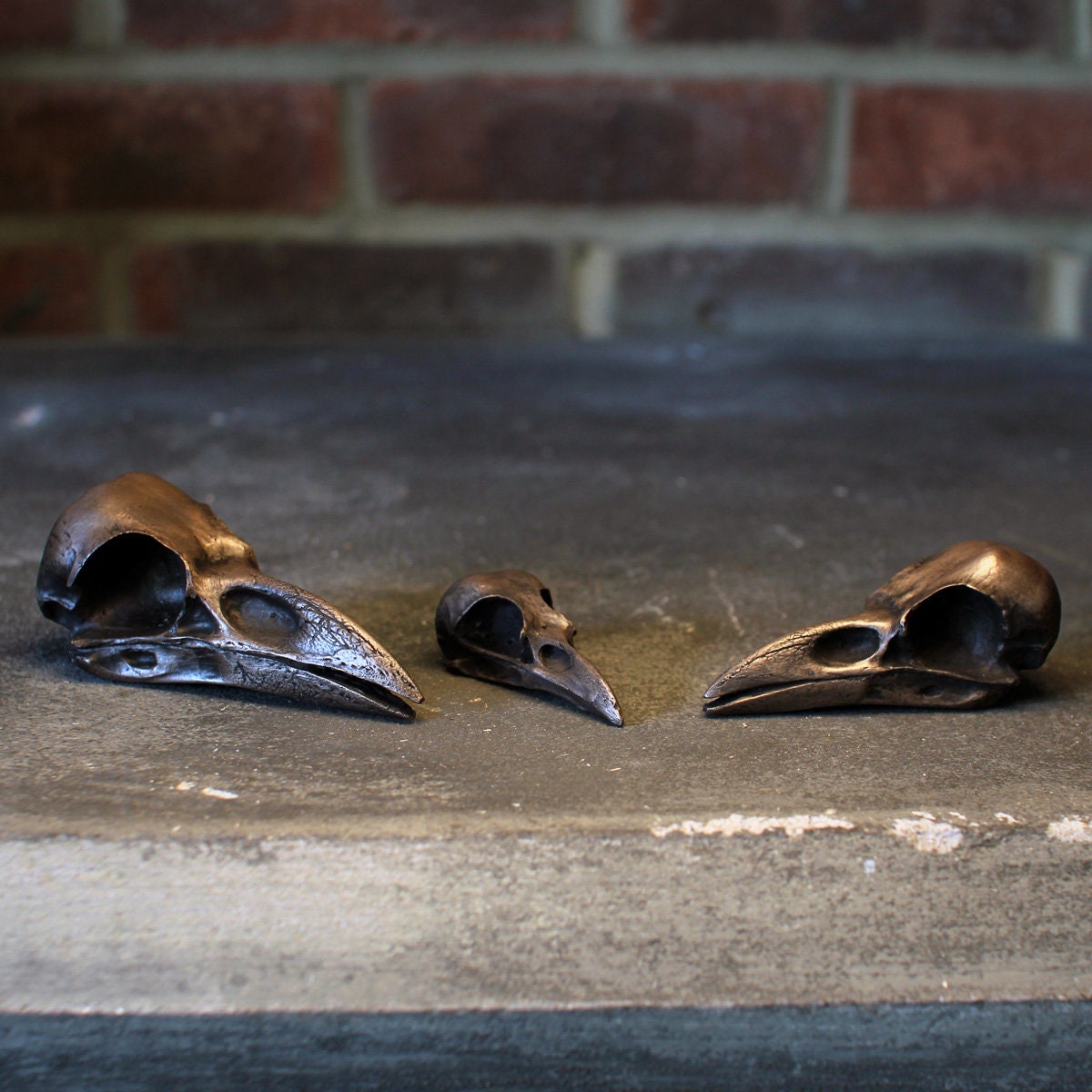 Raven Skull Cast in Metal/resin - Taxidermy - Oddity - Natural ...