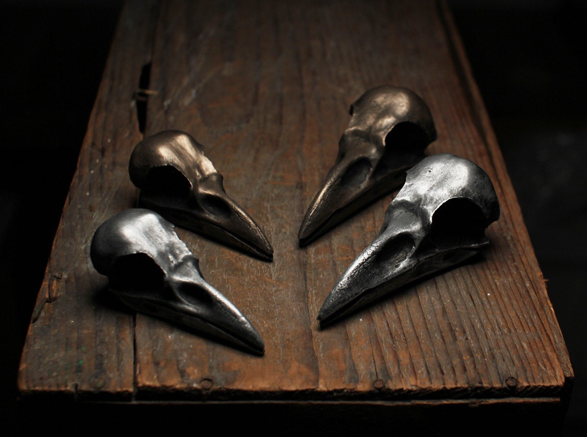 Raven Skull Cast in Metal/resin - Taxidermy - Oddity - Natural ...