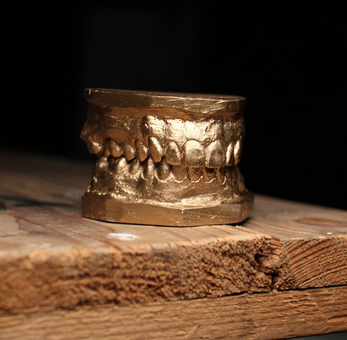 Human Dental Cast Various Finishes Oddity Human - Etsy