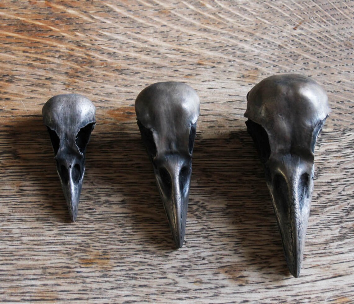 Raven Skull Cast in Metal/resin - Taxidermy - Oddity - Natural ...