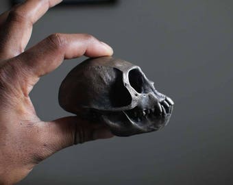 Monkey skull | Etsy