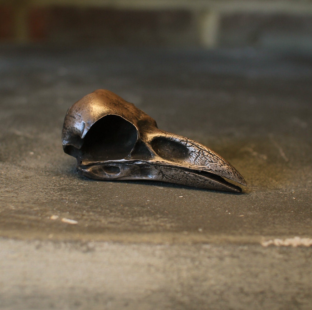 Raven Skull Cast in Metal/resin - Taxidermy - Oddity - Natural ...