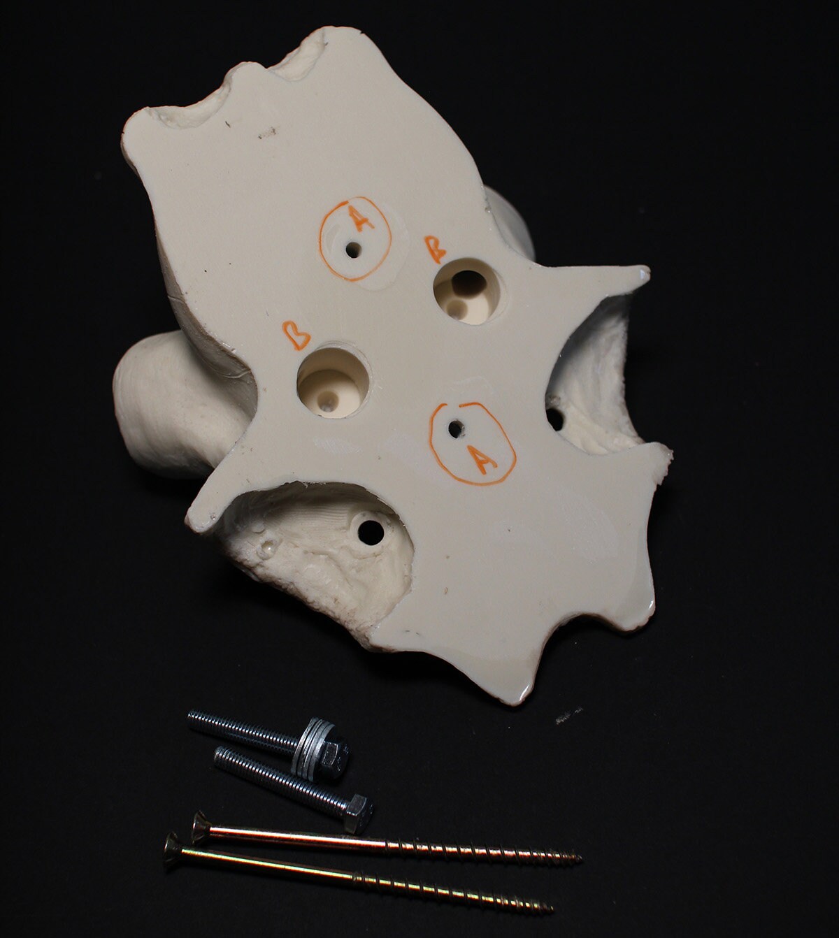 Deer Replica Partial Skull Kit to Mount Antlers On. NO - Etsy