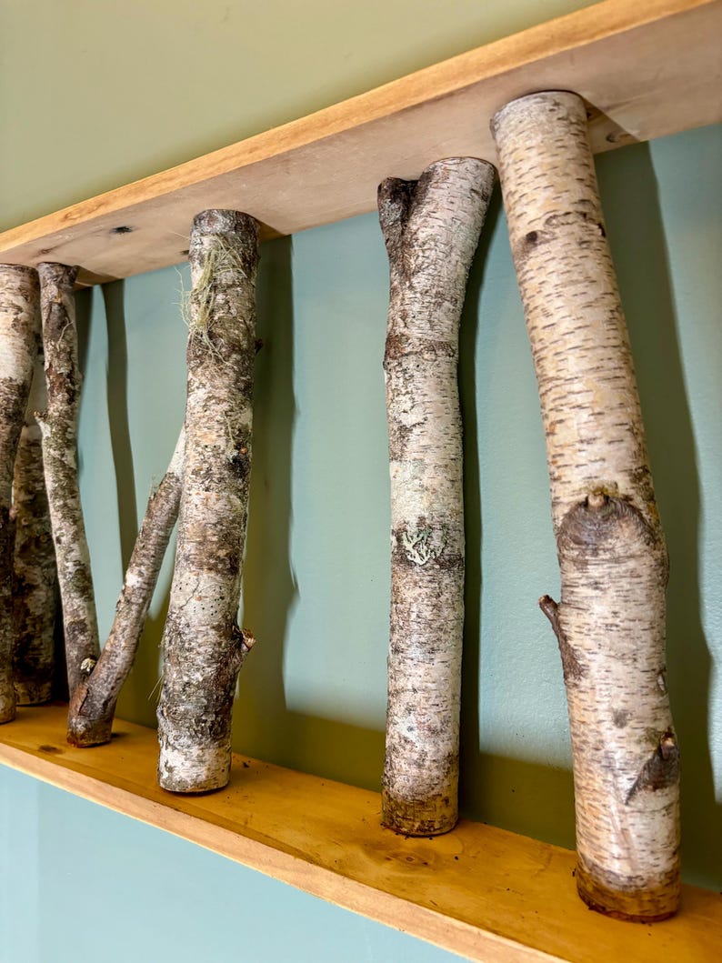 Rustic Birch Branch Display Shelf - Etsy