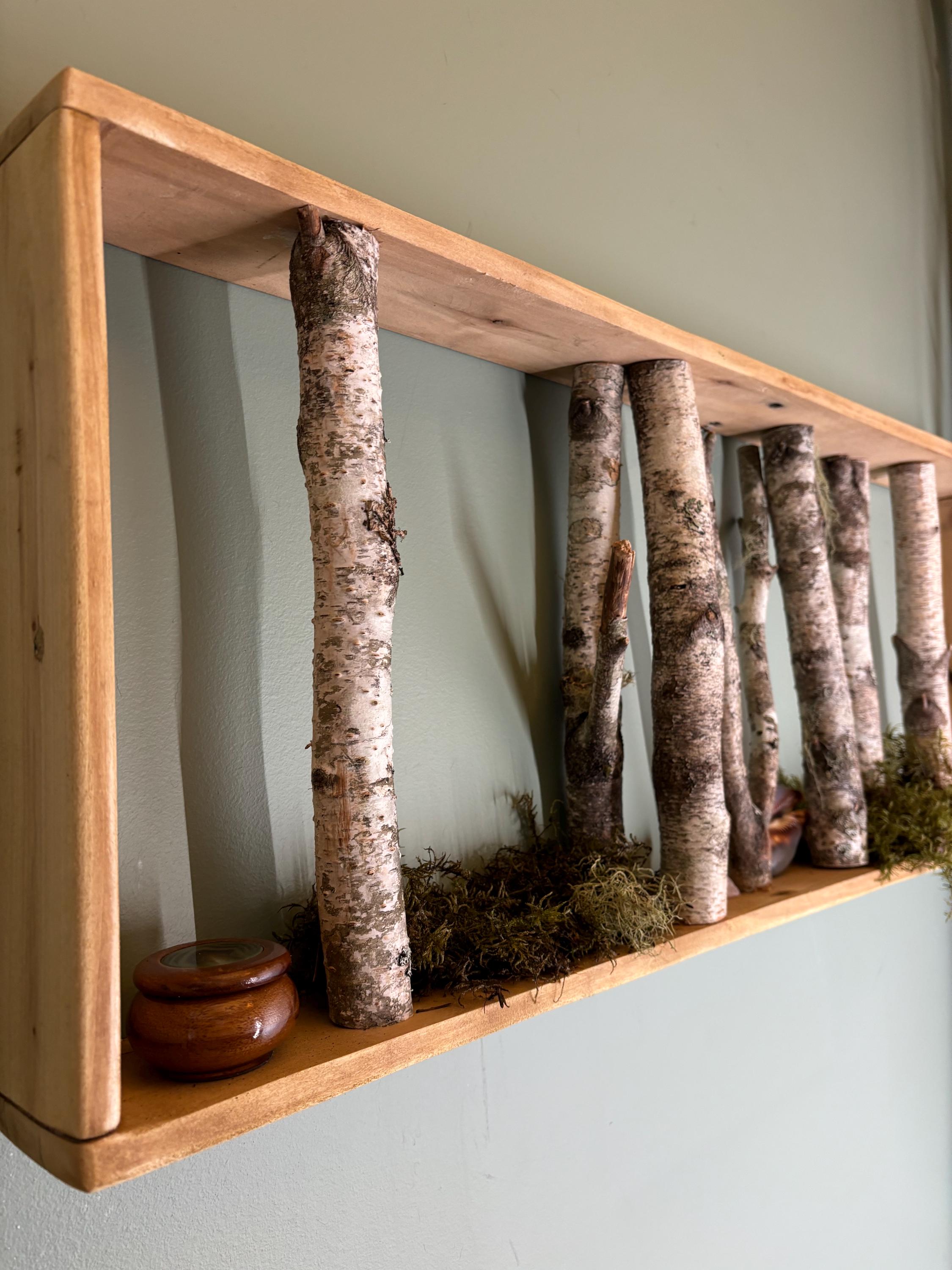 Rustic Birch Branch Display Shelf - Etsy