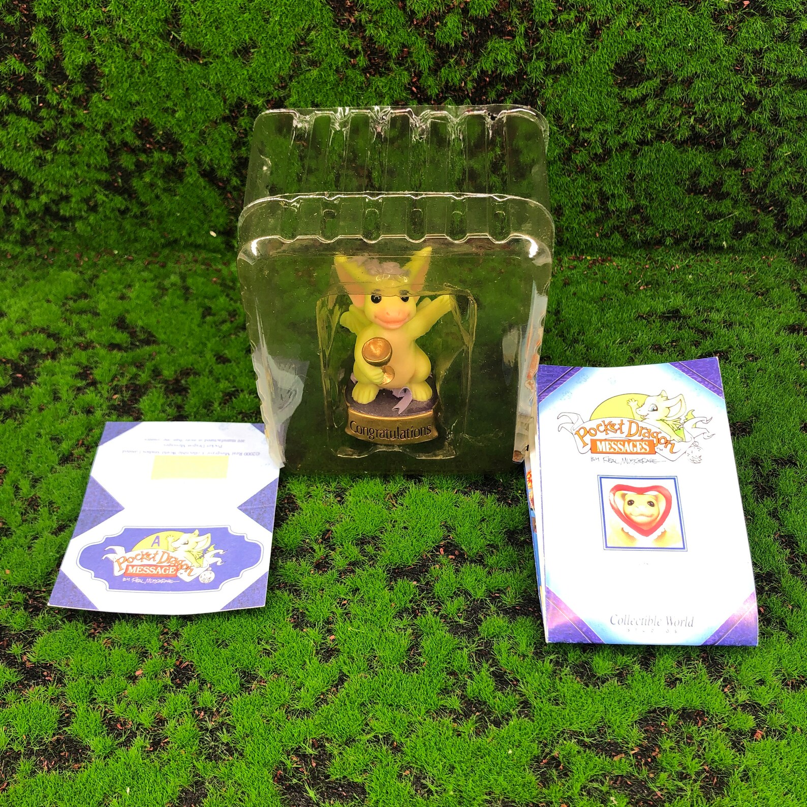 Pocket Dragon Messages Congratulations Real Musgrave Whimsical World ...