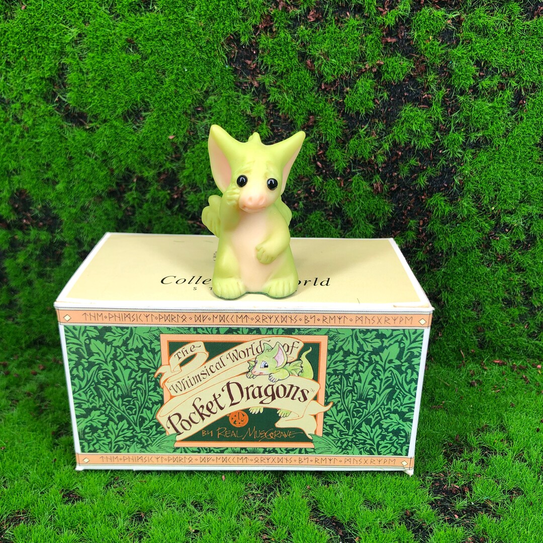 Pocket Dragon Tummy Ache (boxed) by Real Musgrave Pre Loved,booklet ...