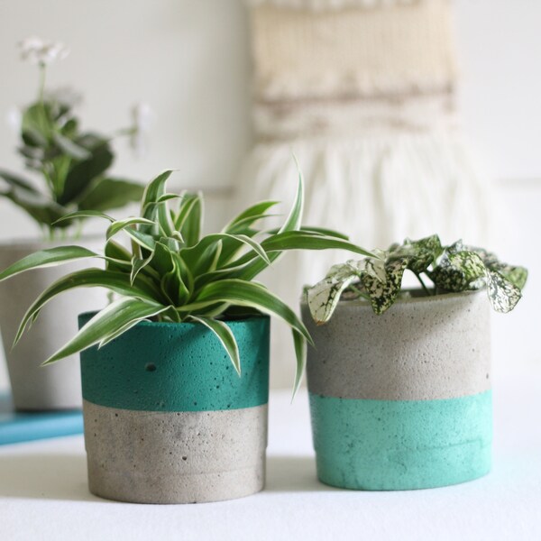 Concrete Planter - Etsy