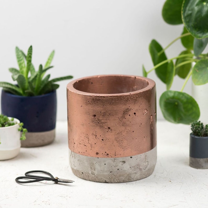 Large Concrete Colour Block Plant Pot Large Planter Cactus - Etsy