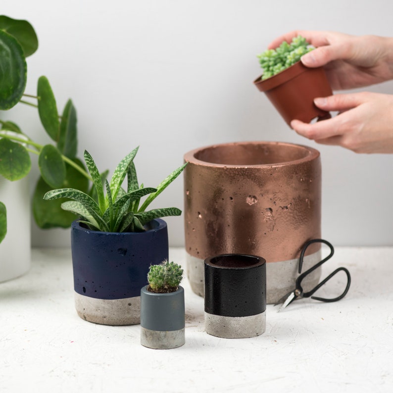 Large Concrete Colour Block Plant Pot Large Planter Cactus - Etsy