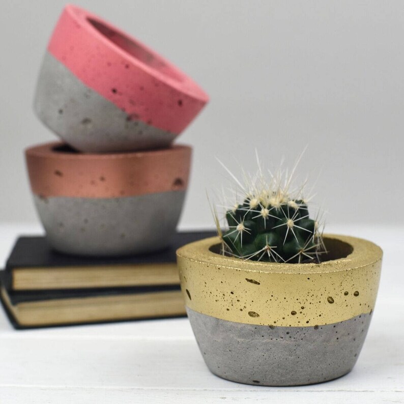 Small Concrete Planter - Etsy UK